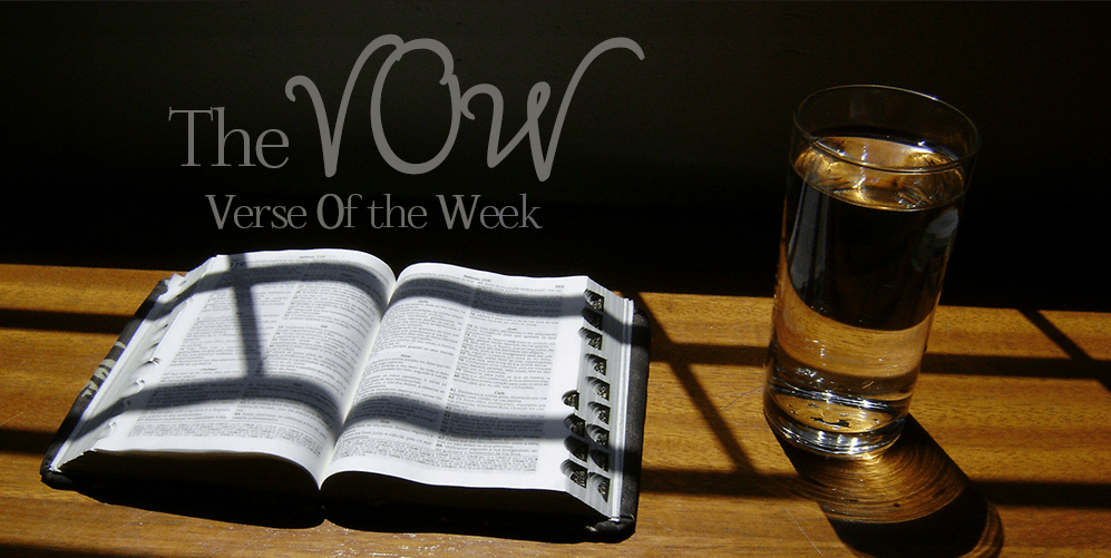 Verse of The Week – On Scripture