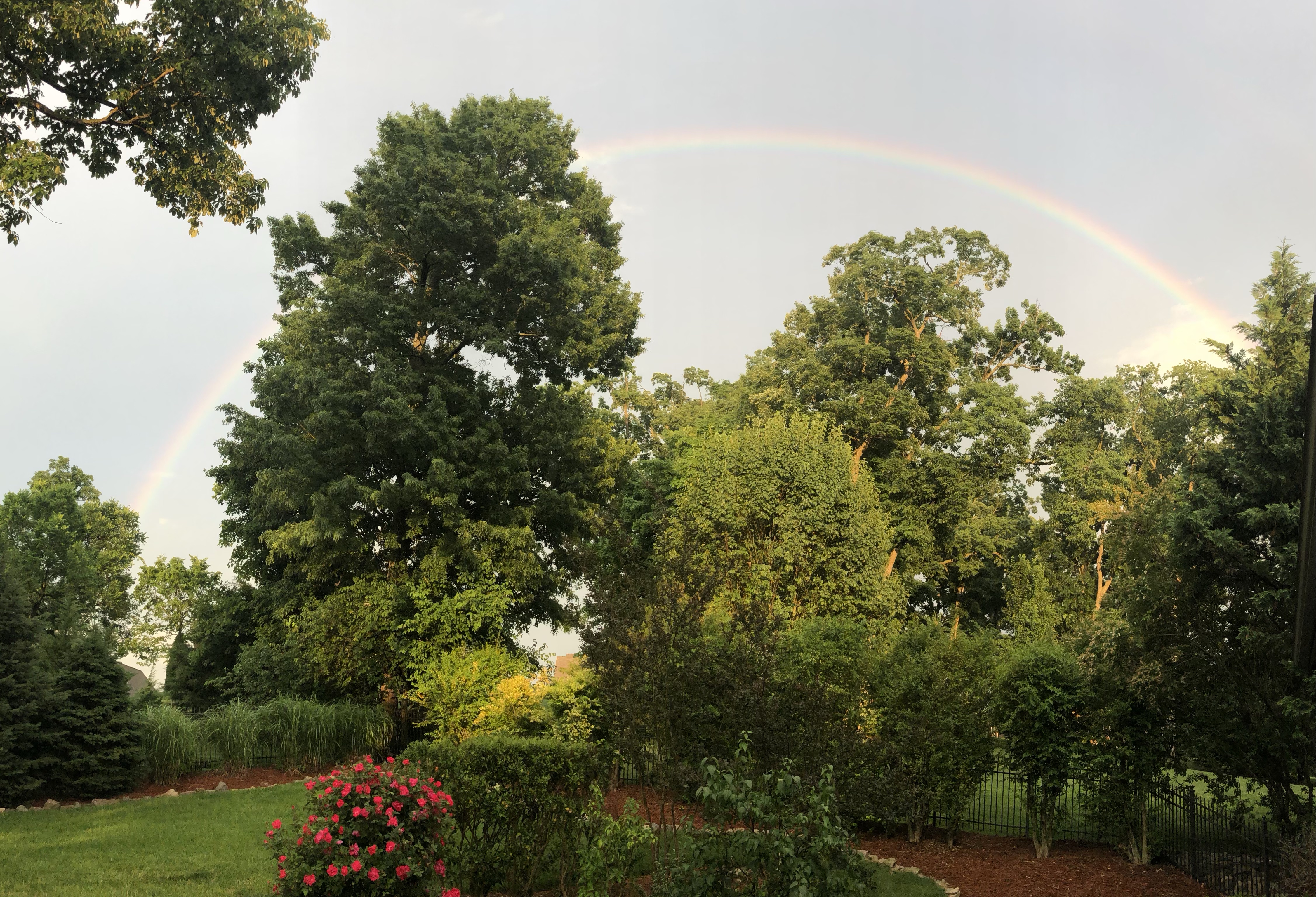 VOW: Look! A Rainbow! – On Scripture