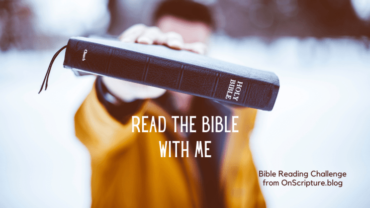 M’Cheyne Bible Reading Plan – On Scripture
