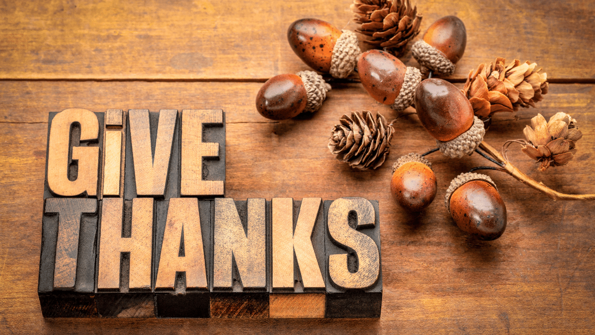 On Giving Thanks – On Scripture