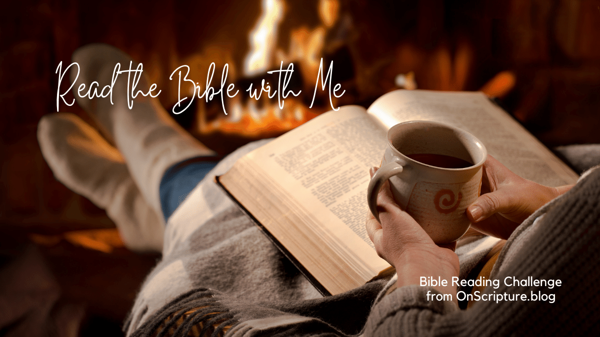 M’Cheyne Bible Reading Plan – On Scripture